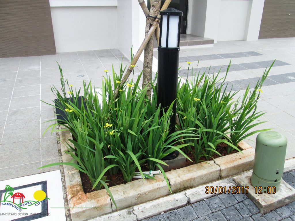 Summarecon – Kampung Flora Cipta