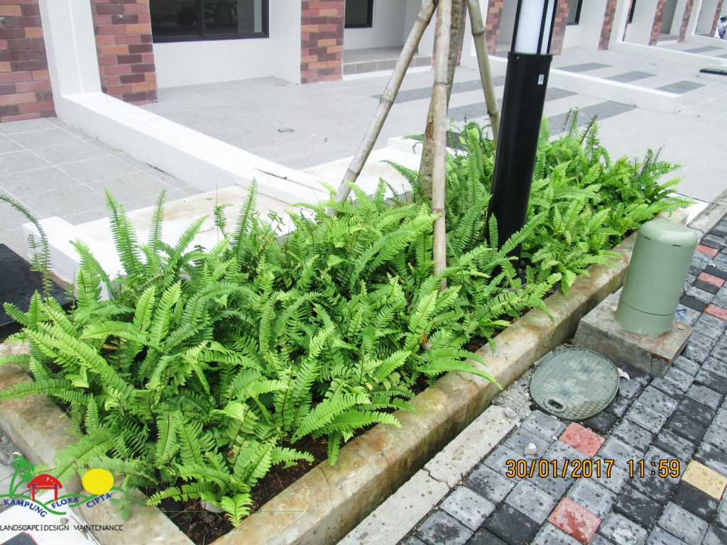 Summarecon – Kampung Flora Cipta