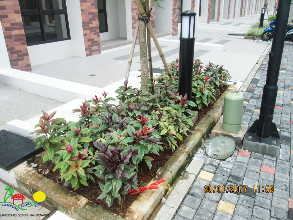 Summarecon – Kampung Flora Cipta